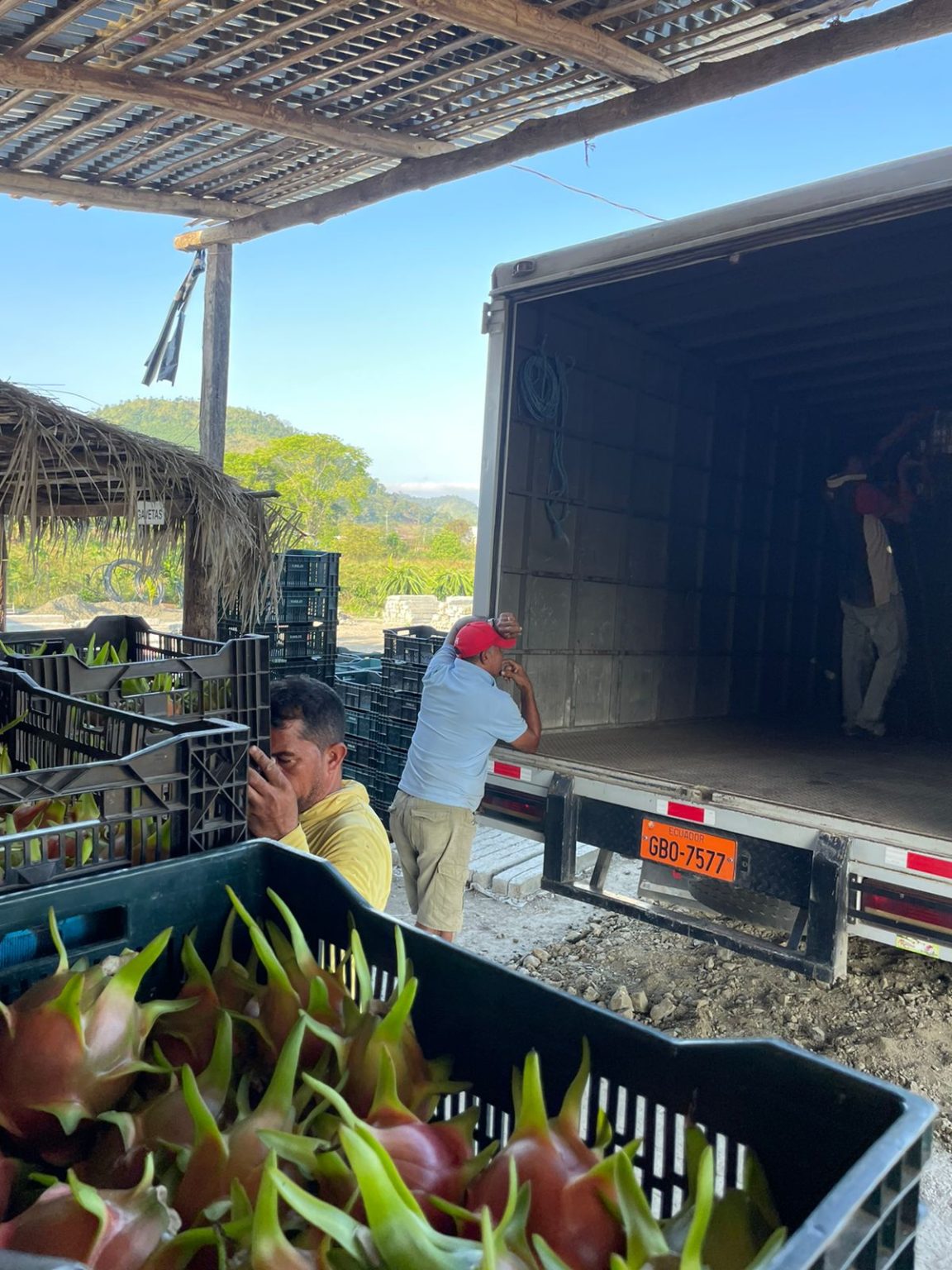 Our Story - Frutapac